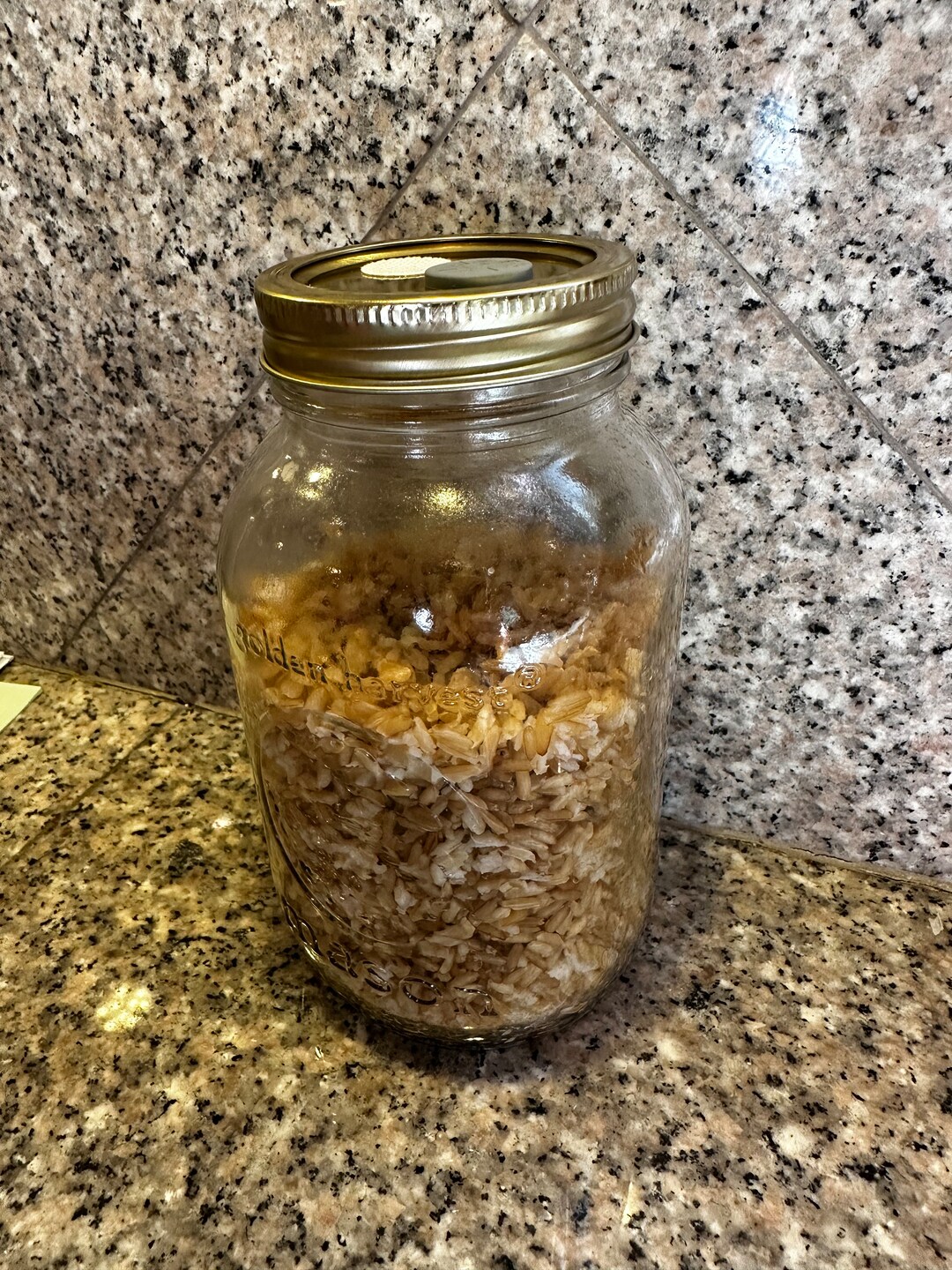 1 Pint Rice Jar - Etsy