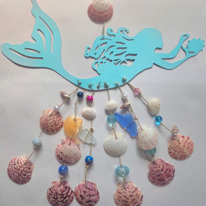 Sea Shell Decor - Etsy