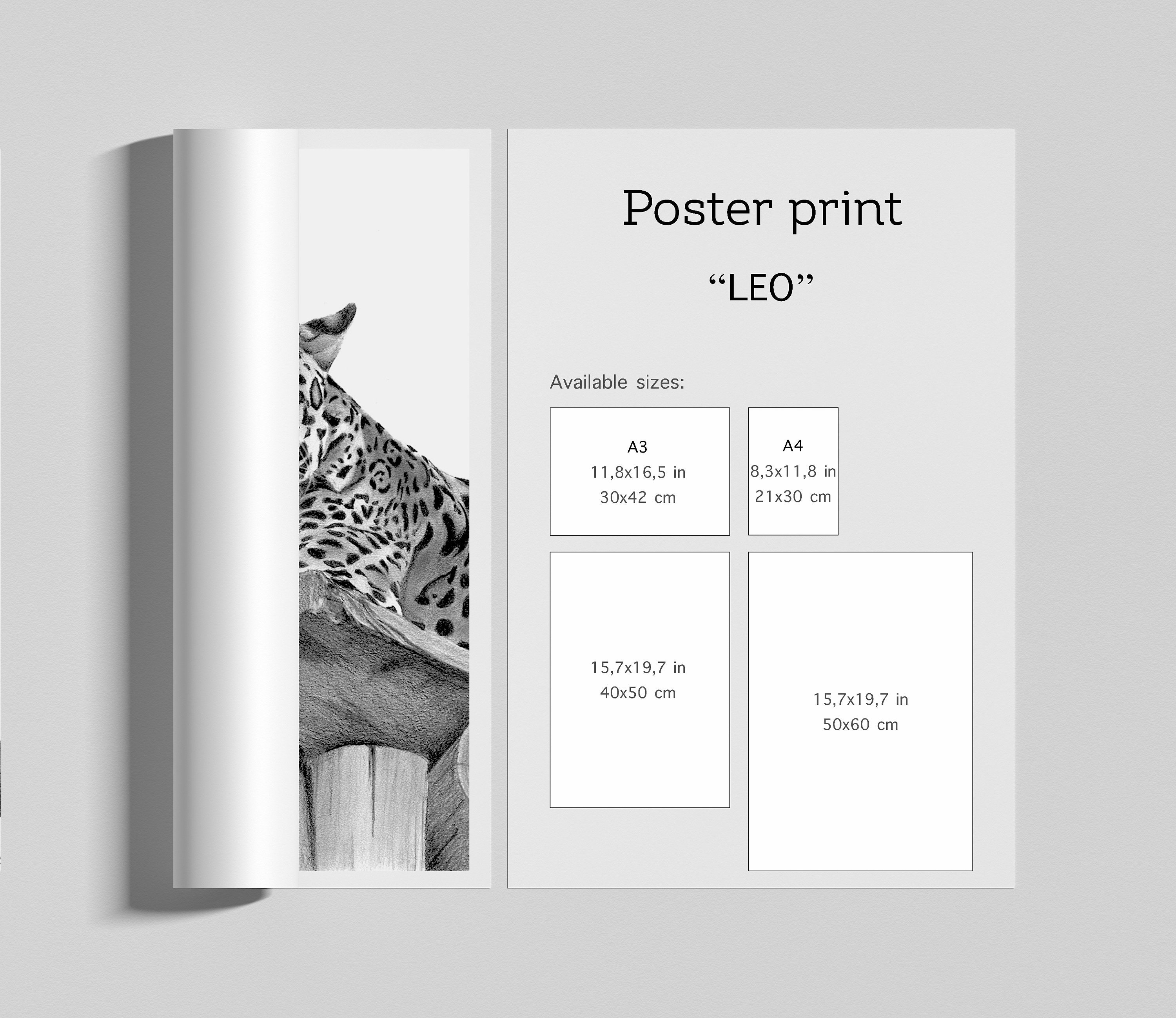 Animal Poster Art Print Leopard Drawing Pencil Drawing Black & White ...