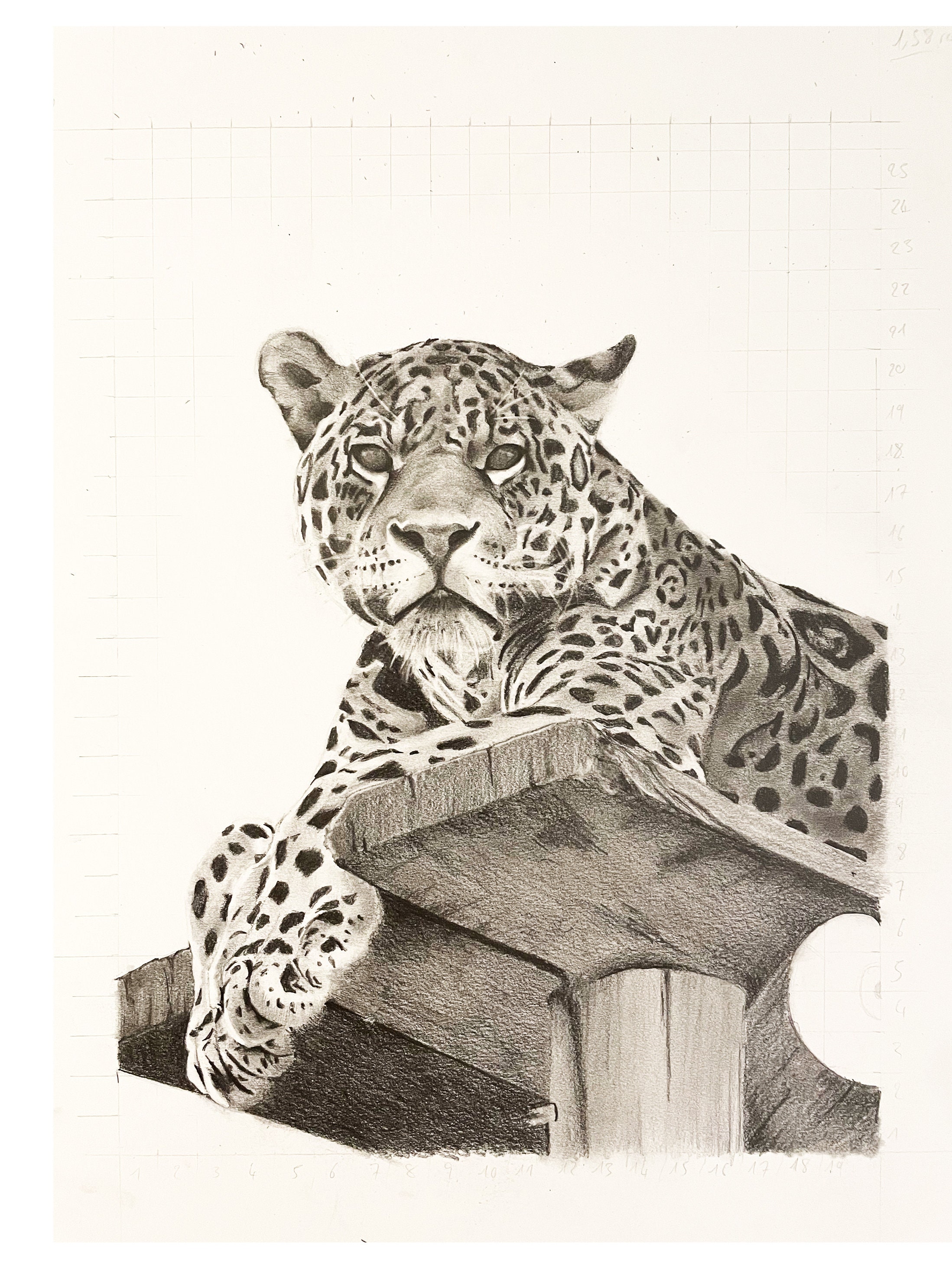 Animal Poster | Art Print | Leopard Drawing | Pencil Drawing | Black ...
