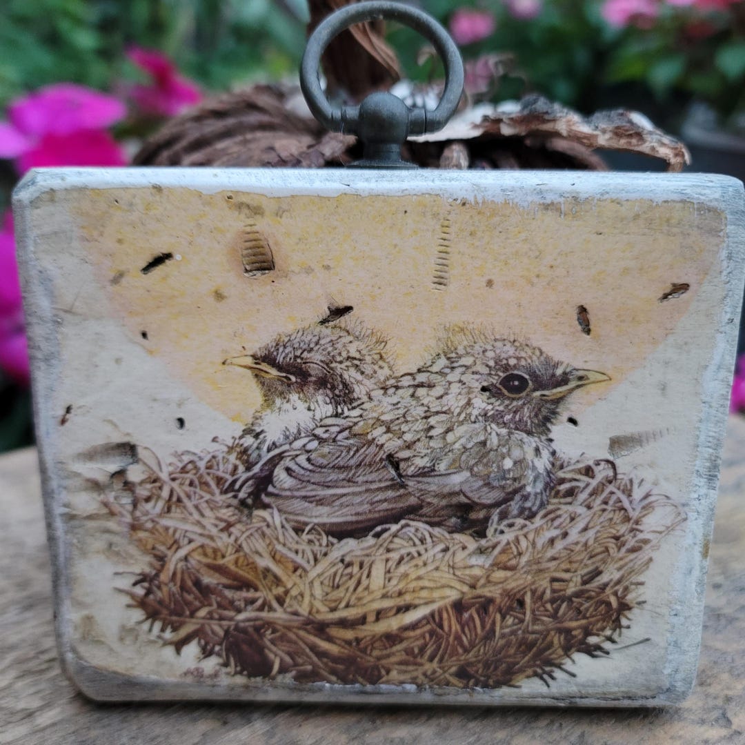 Baby Bird Plaque, Decoupage Baby Bird Nest, Small Wall Plaque, Gallery ...