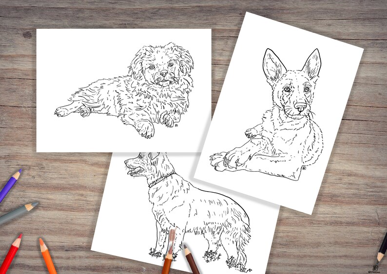 10 Pages Realistic Dog Colouring Pages Lineart, Digital Illustration ...