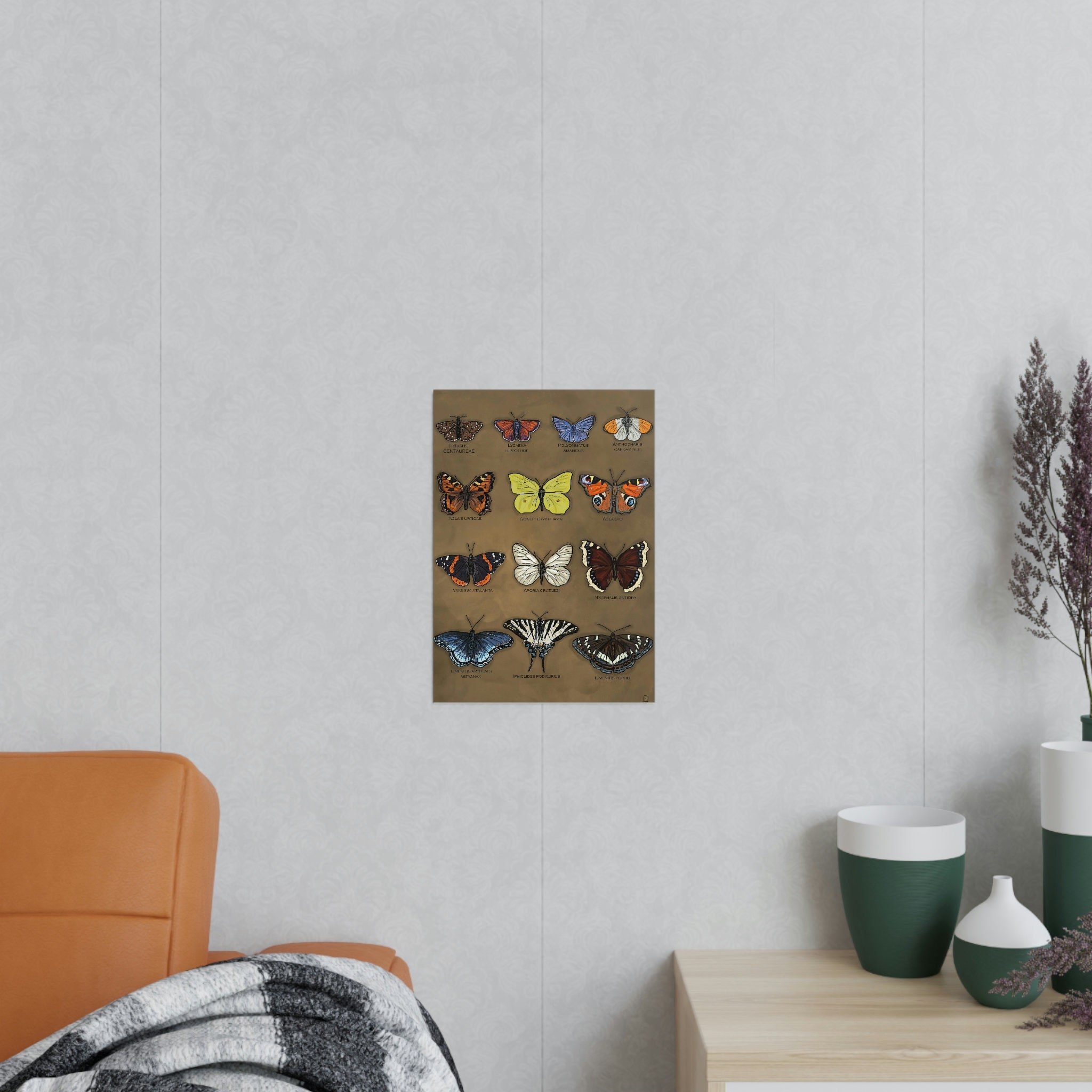 Butterfly Poster Butterfly Species, Wall Art, Wall Decor, Home Decor ...