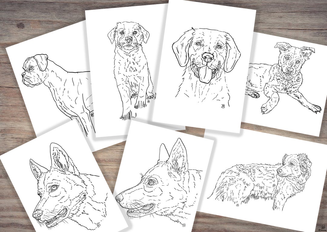 10 Pages Realistic Dog Colouring Pages Lineart, Digital Illustration ...