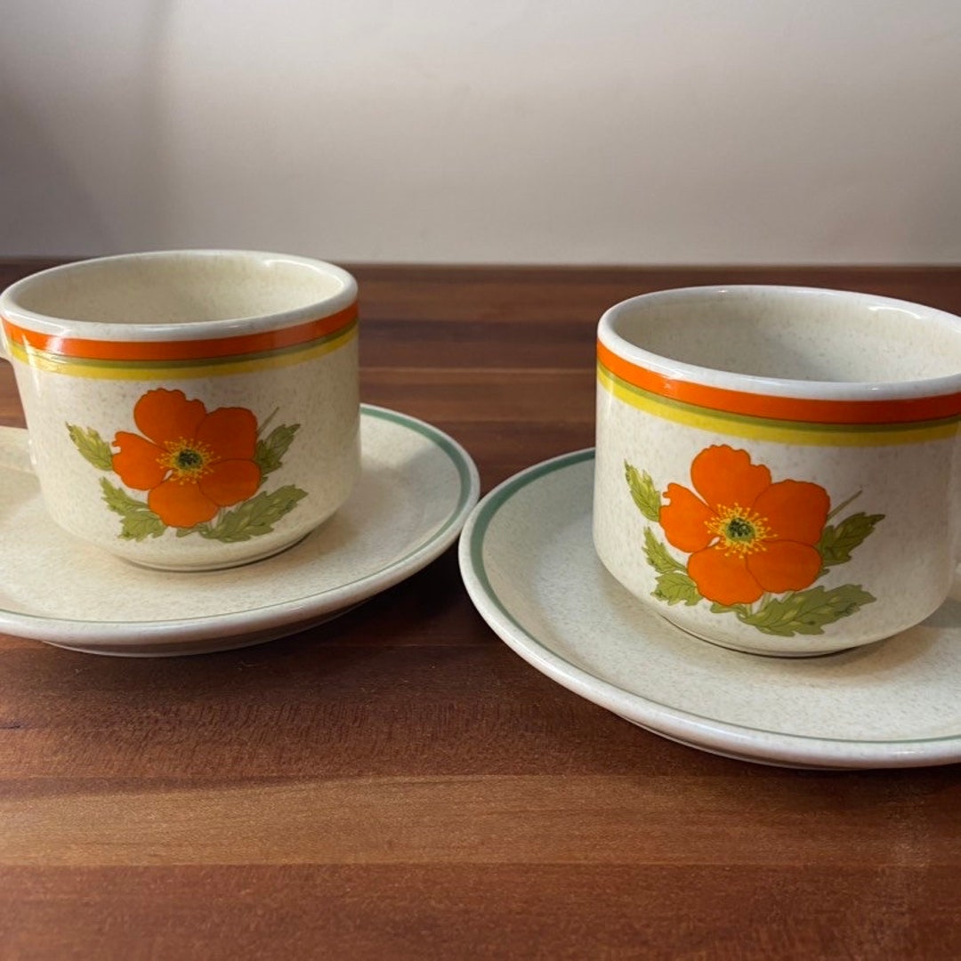 Pair of Retro Temper-ware by Lenox Fire Flower Tea Cup and Saucer - Etsy