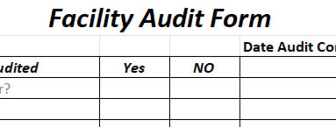 Nursing Home Audit Tool (multi - Resident & Non Resident Specific) - Etsy