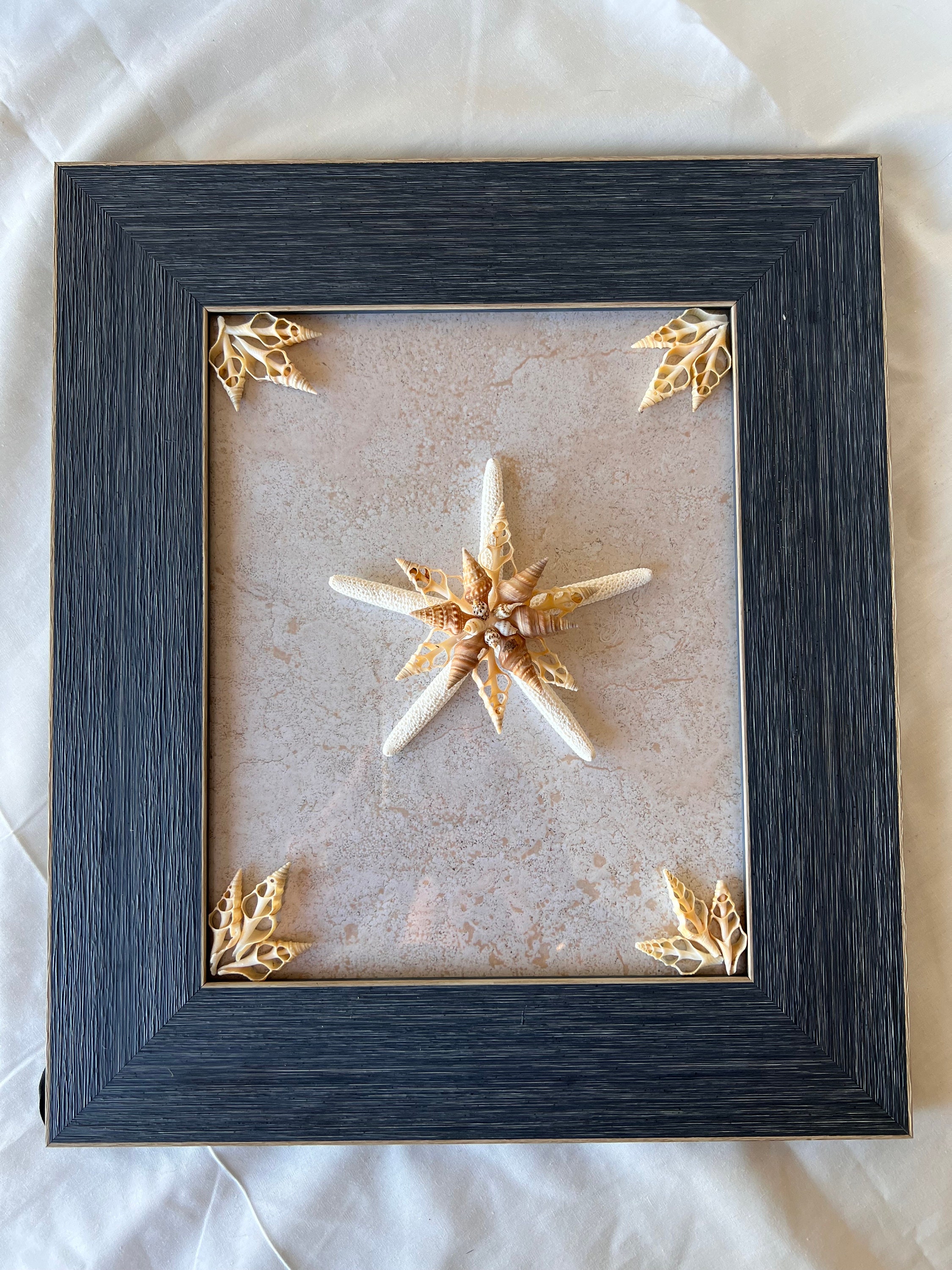 Framed Symmetry Seashell Arrangement / Beach House Decor - Etsy