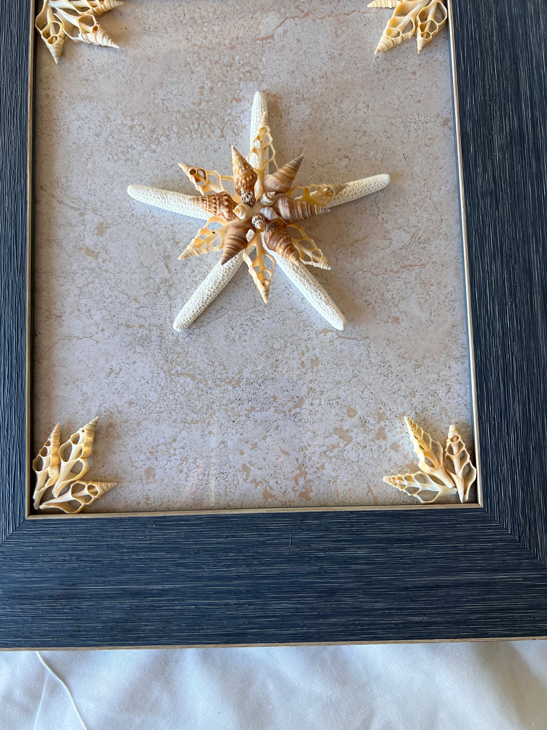 Framed Symmetry Seashell Arrangement / Beach House Decor - Etsy