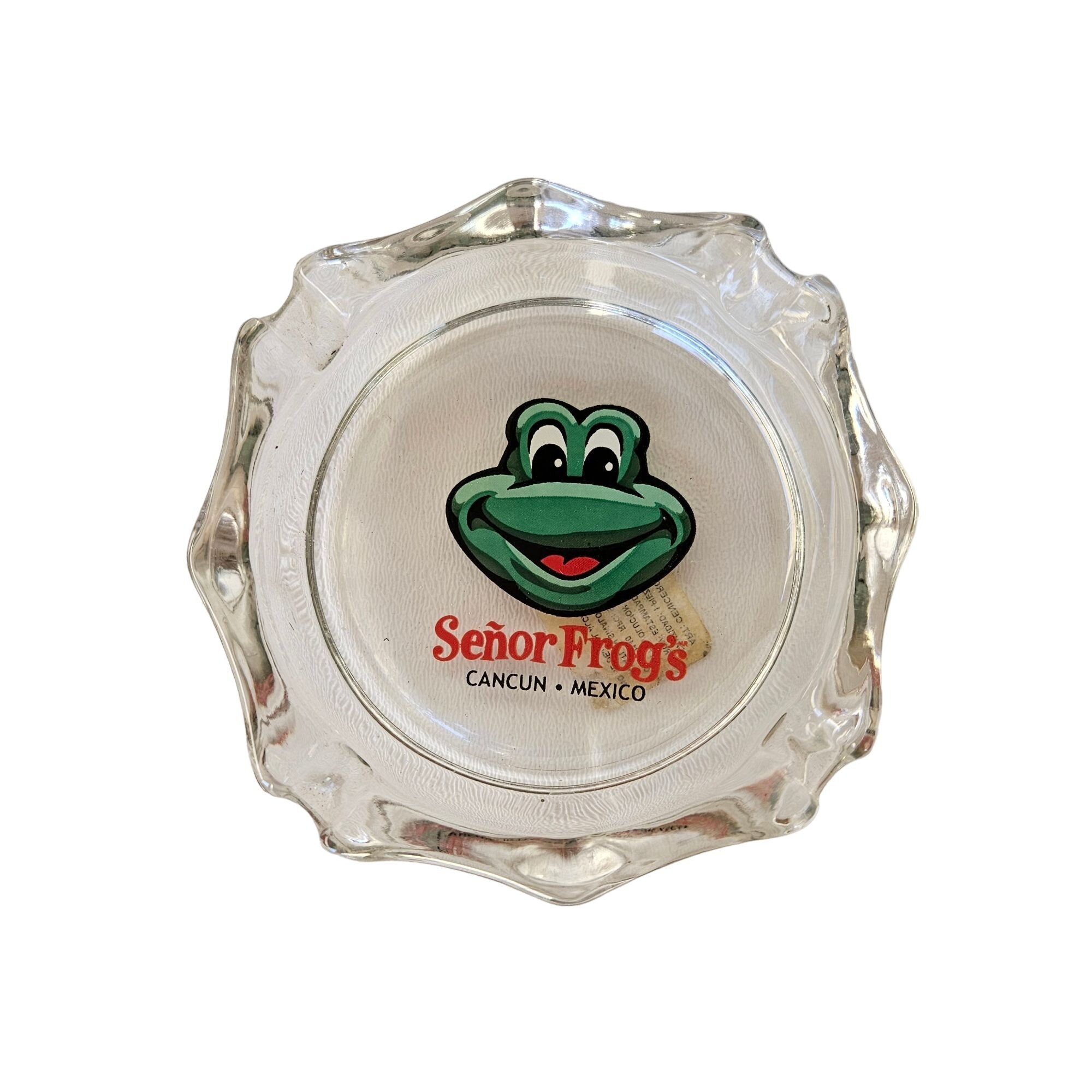 Senior Frogs Cancun Mexico Ashtray Frog Logo - Etsy