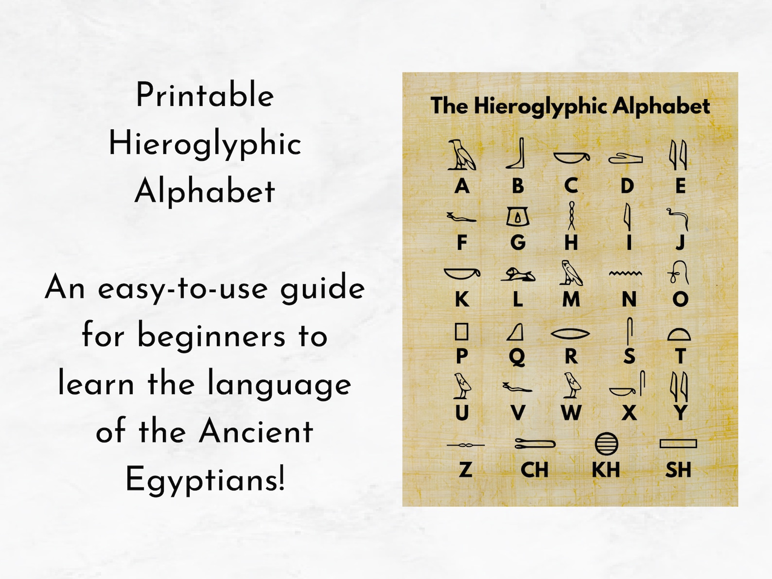Ancient Egyptian Hieroglyphic Alphabet Cartouche Printable Worksheet ...