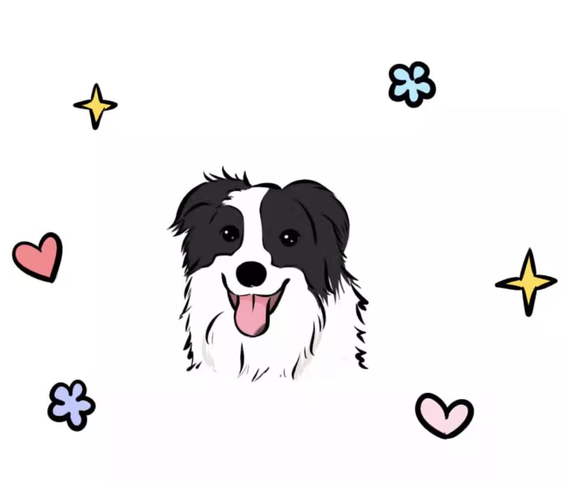 Custom Pet Portrait Chibi-style Hand-drawn Portraits: Custom Cartoon ...