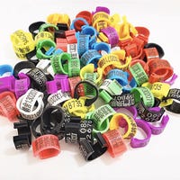 20 Pcs - Aluminium Pigeon Rings - Pigeon Bands - Personalized - Parrot ...