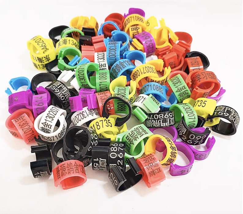 Custom Pigeon Leg Bands – Personalized Pigeon Foot Rings, Open Split Id ...