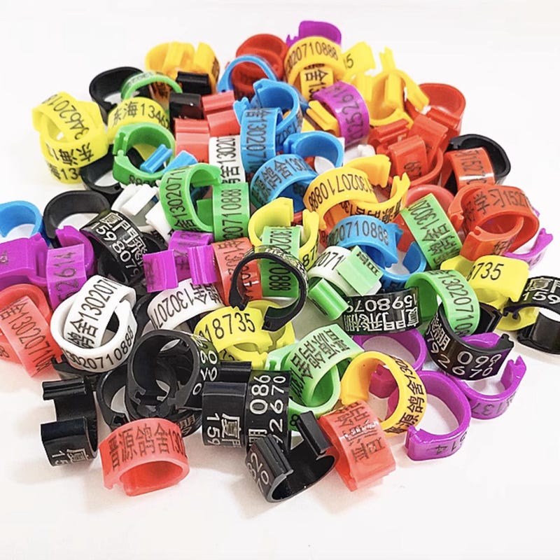 Personalized Pigeon Bands - Etsy