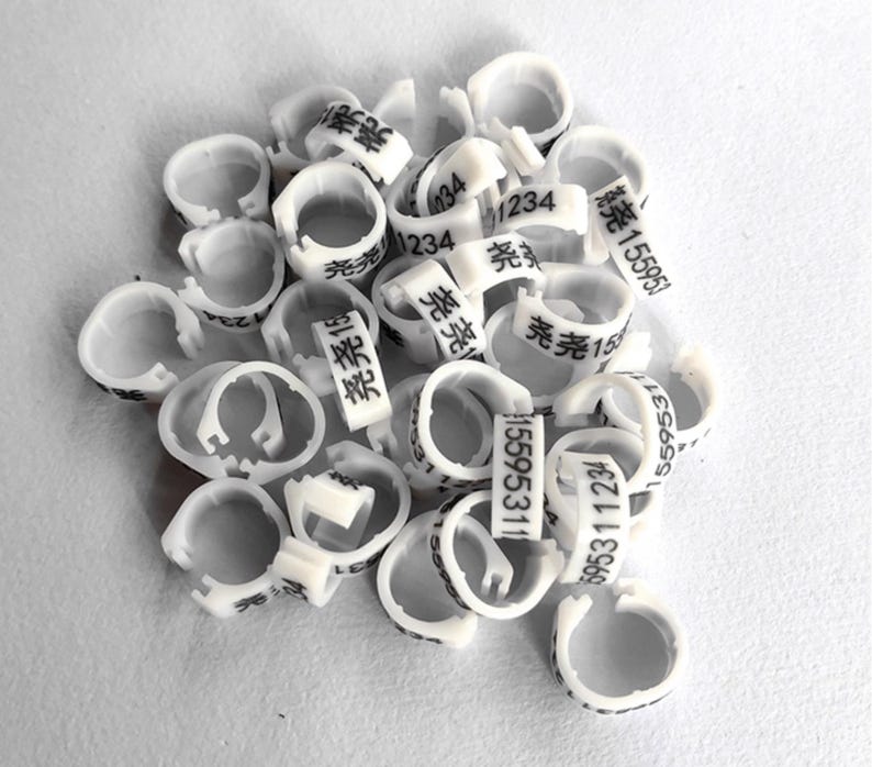 Custom Pigeon Leg Bands – Personalized Pigeon Foot Rings, Open Split Id ...