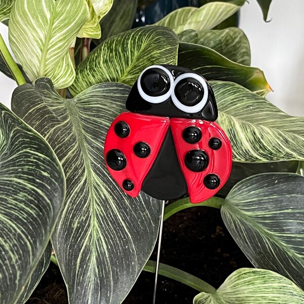 Ladybug Planter - Etsy