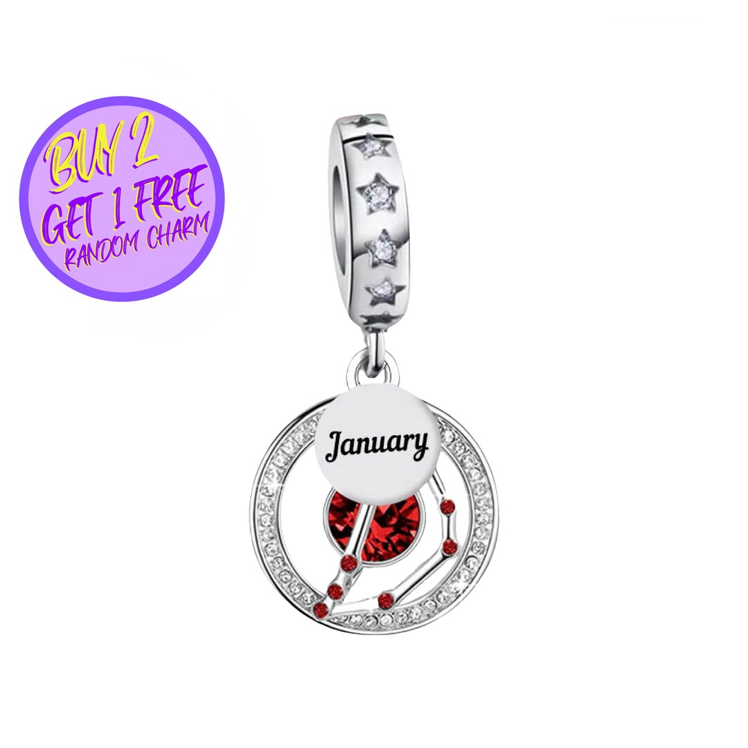 January Zodiac Birthstone Charm for Bracelet, January Charm, Capricorn ...