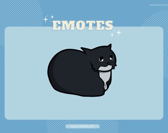 Dancing Meme Cat ANIMATED CAT EMOTES Twitch Youtube Discord Streaming ...