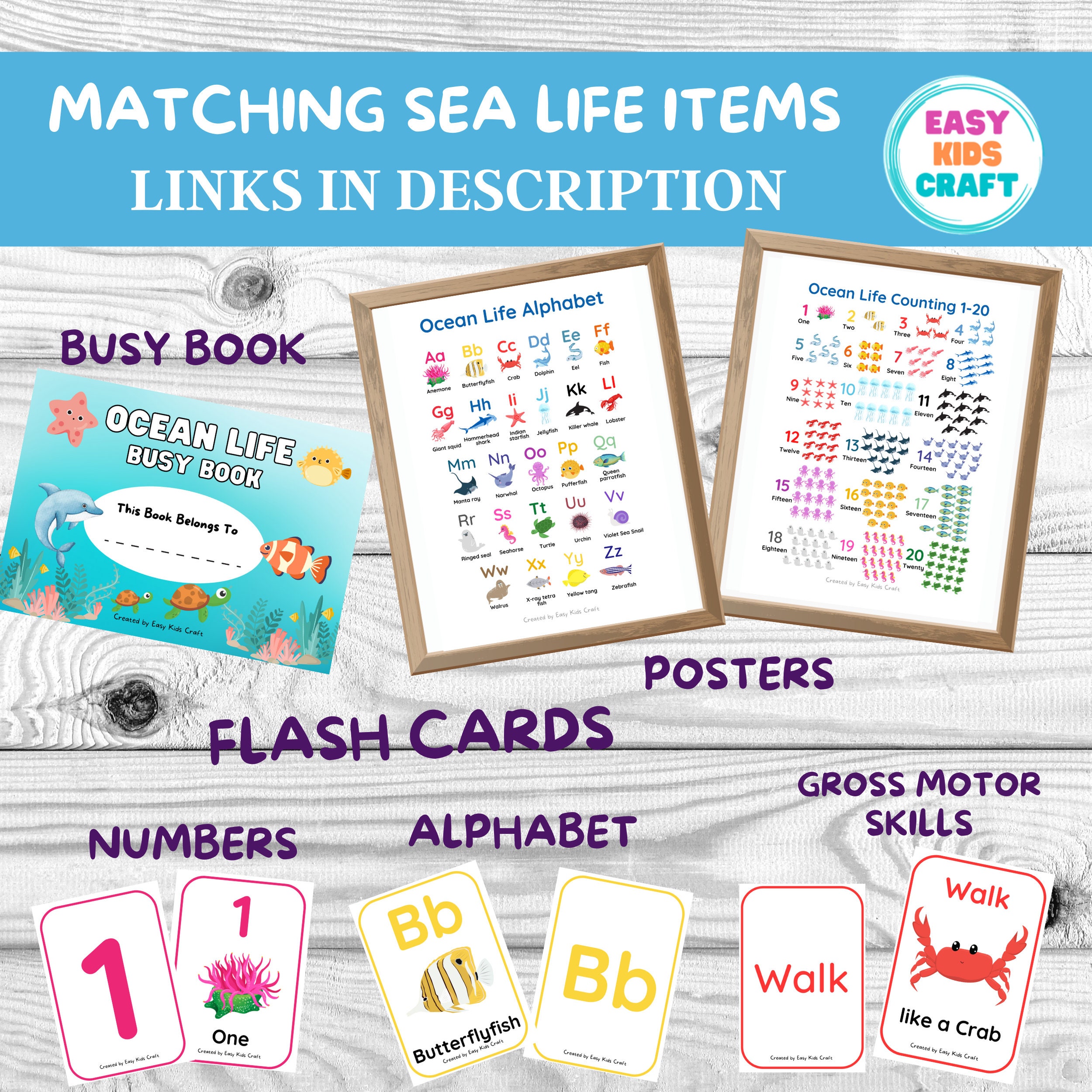 Gross Motor Skills Ocean Life Flash Cards for Preschool, Toddlers ...