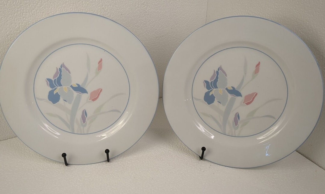 Set of 2 Excel China Dinnerware Bouquet Fresh Flowers 10-1/2dinner ...