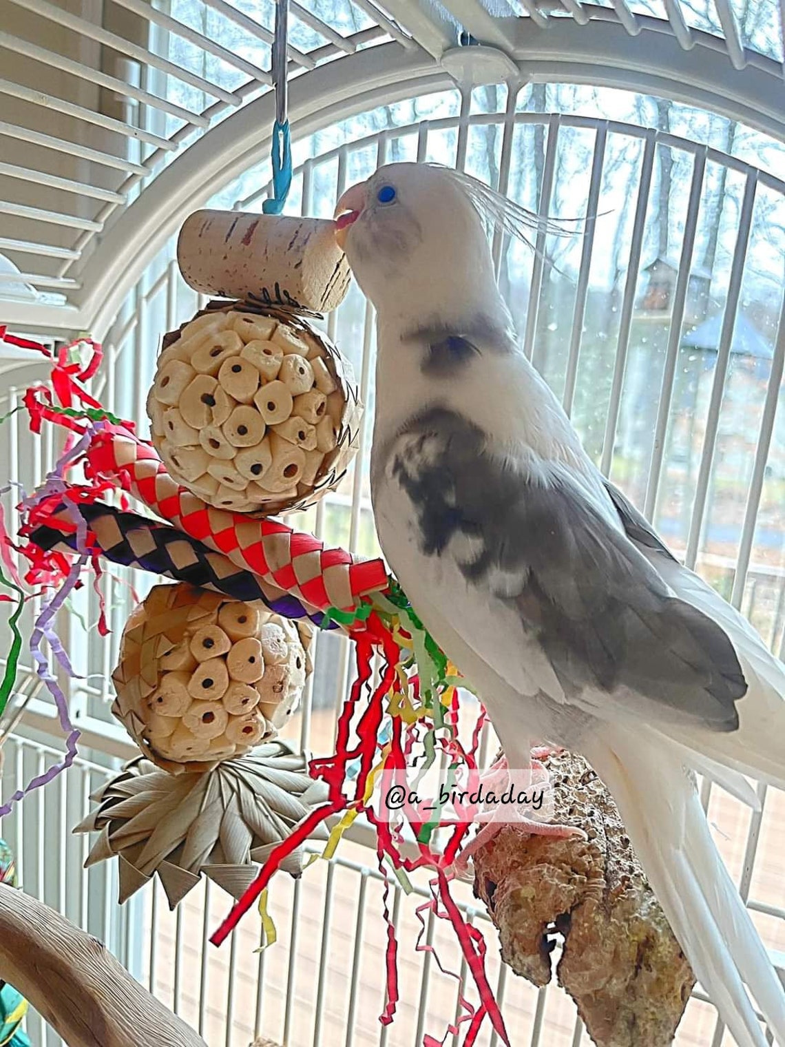 Sola Ball Fun - Hand Made Toys for Small to Medium Pet Birds Using Safe ...