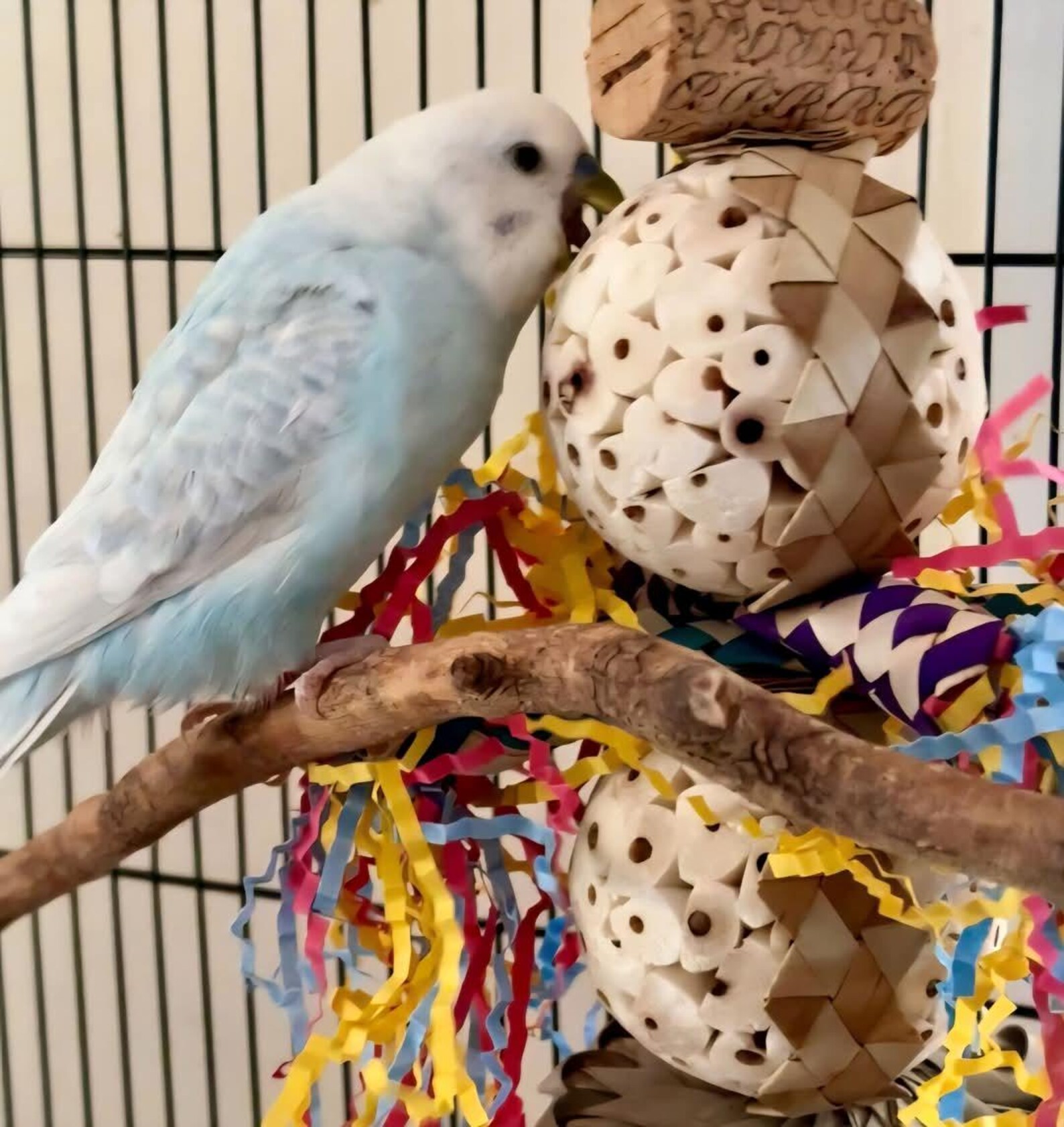 Sola Ball Fun - Hand Made Toys for Small to Medium Pet Birds Using Safe ...