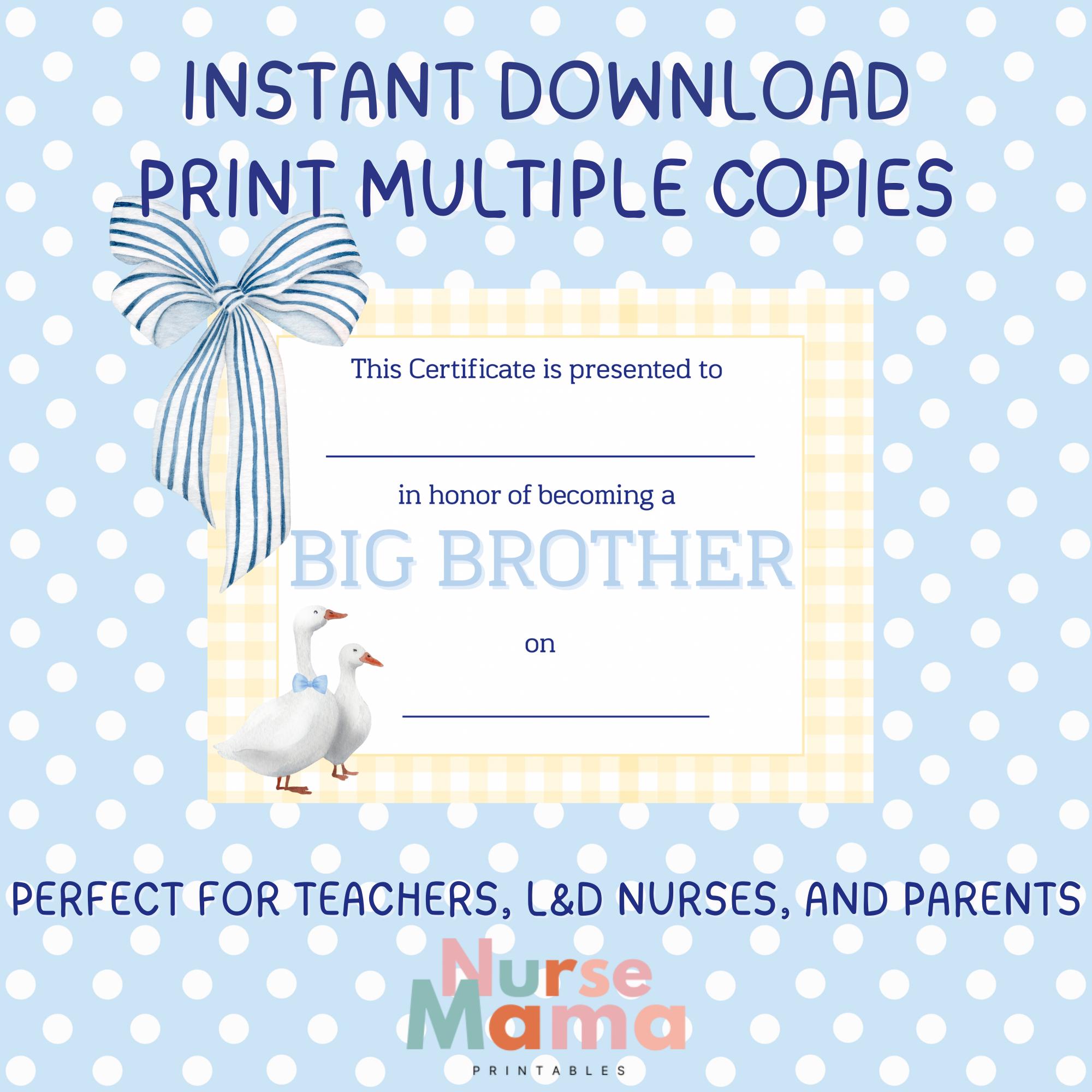 Big Brother Certificate | Printable Download | PDF - Etsy