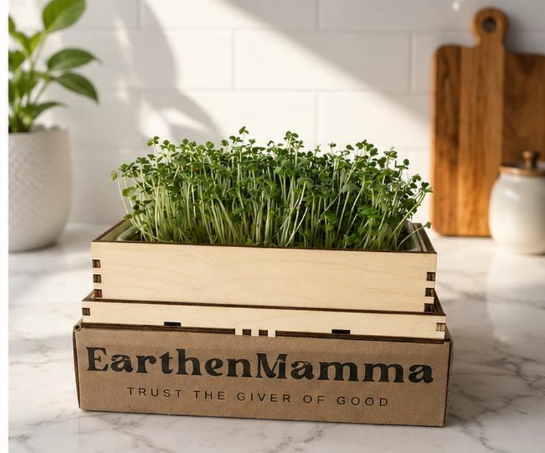 Microgreens Growing System | the Good Box Hydroponic Kit | Grow Fresh ...