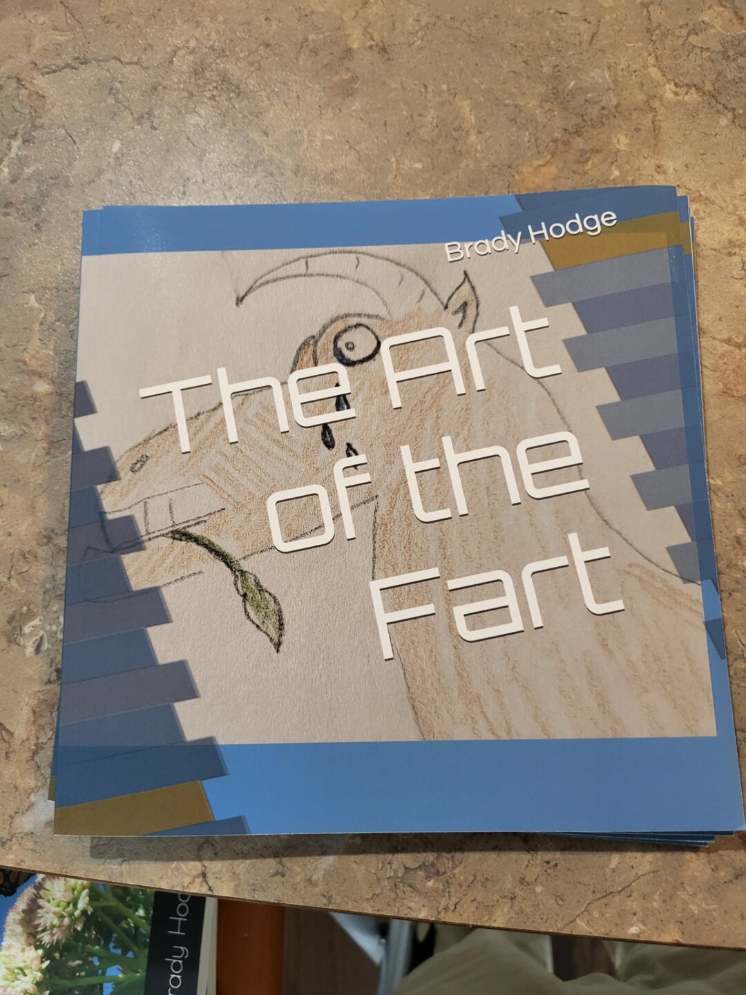 The Art of the Fart: A Silly Book Full of Laughter and Joy - Etsy