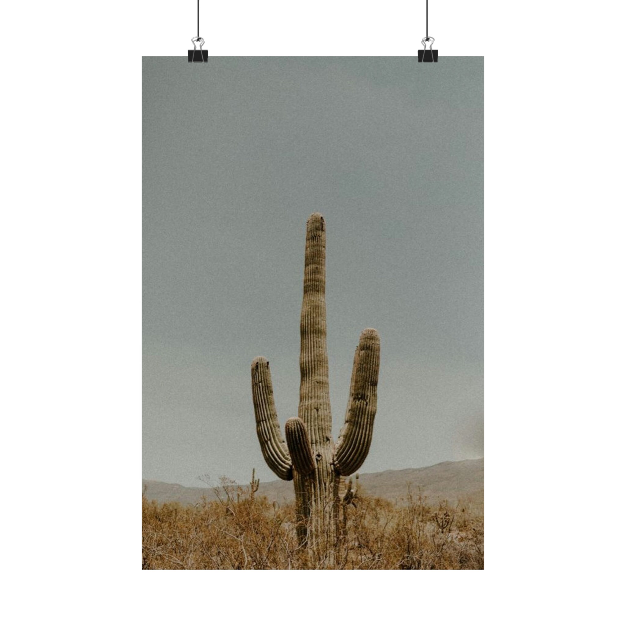Arizona Cactus Poster Western Decor - Etsy