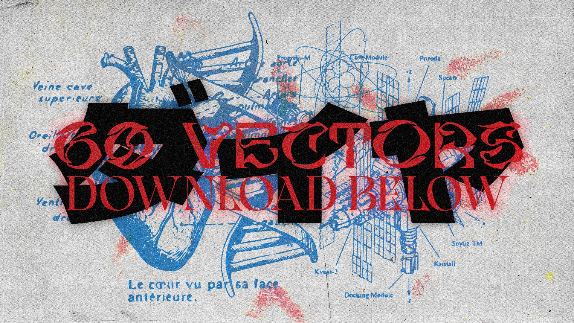 Diagram Vector Pack V2 - Etsy