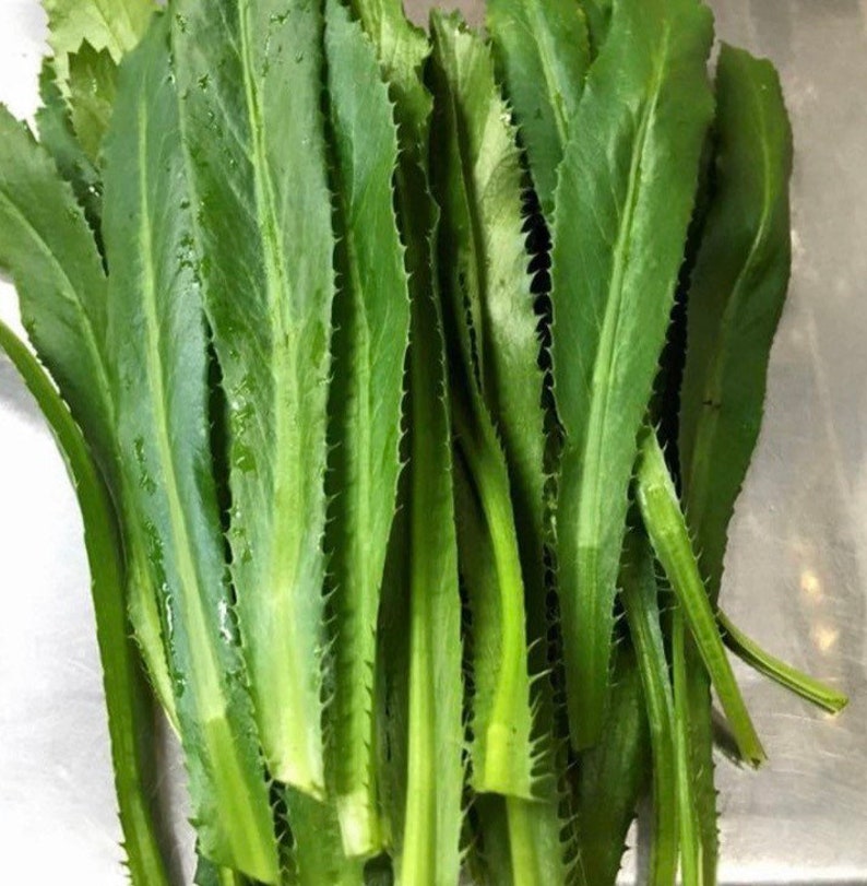 Culantro Leaves / Chandon Beni / Bandanya / Green Seasoning - Etsy