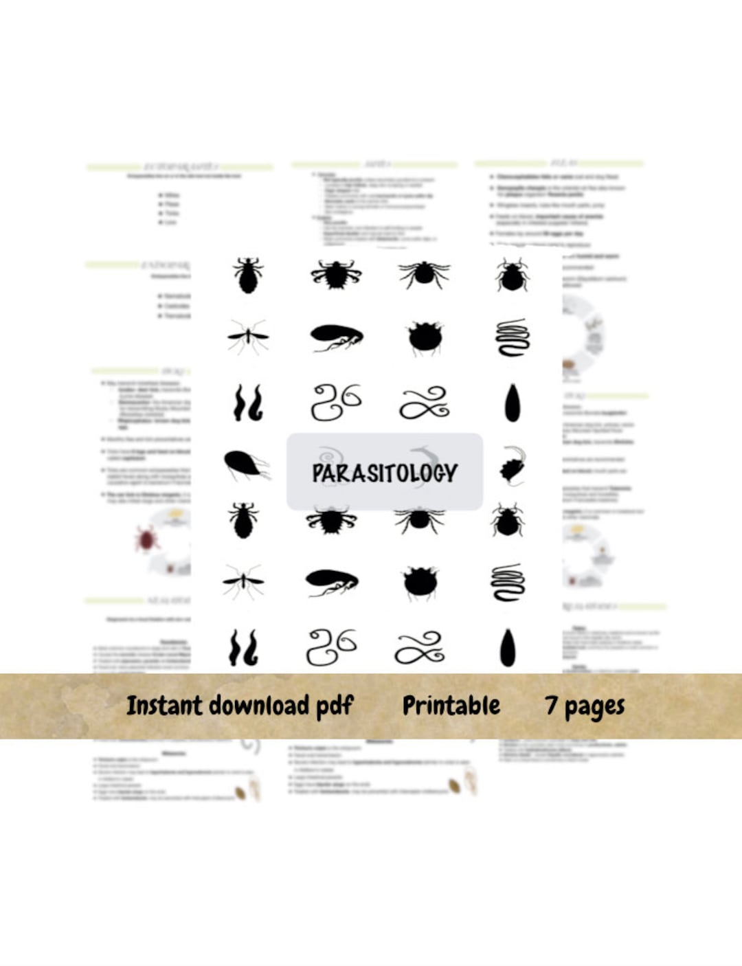 Small Animal Parasitology Vettech Vetmed Study Notes - Etsy