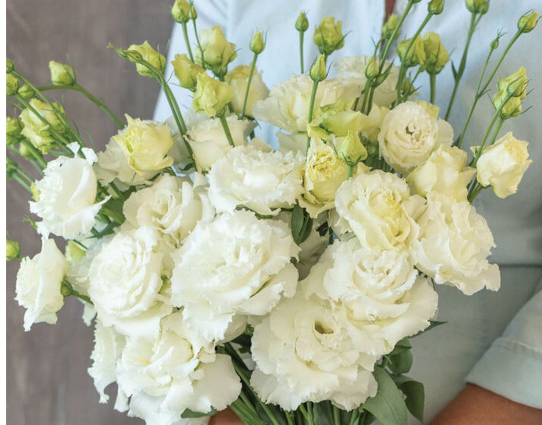 25 Voyage 2 White Lisianthus Seeds - Etsy