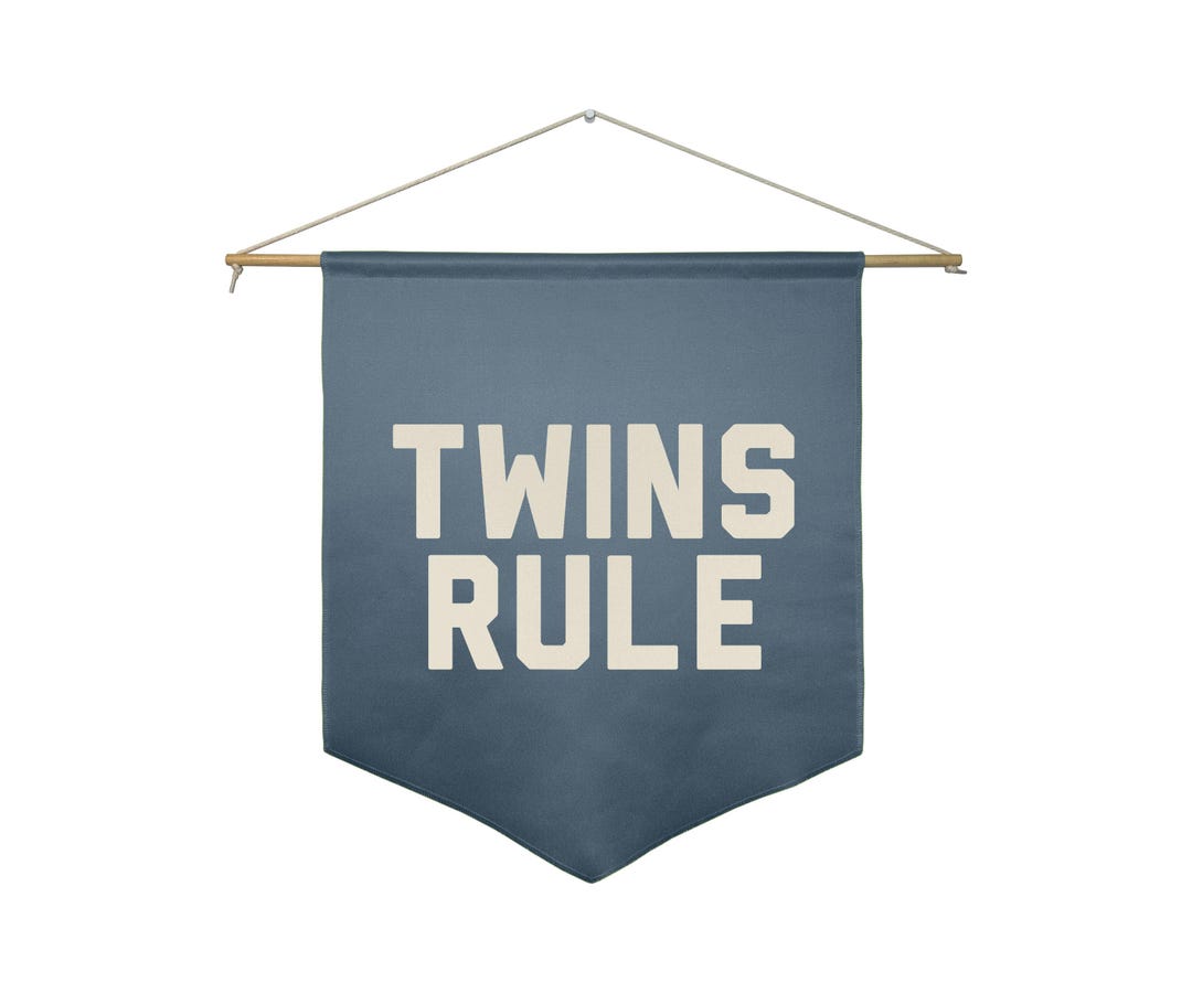 Twins Rule Pennant Flag | Sibling Wall Hanging, Brothers & Sisters ...