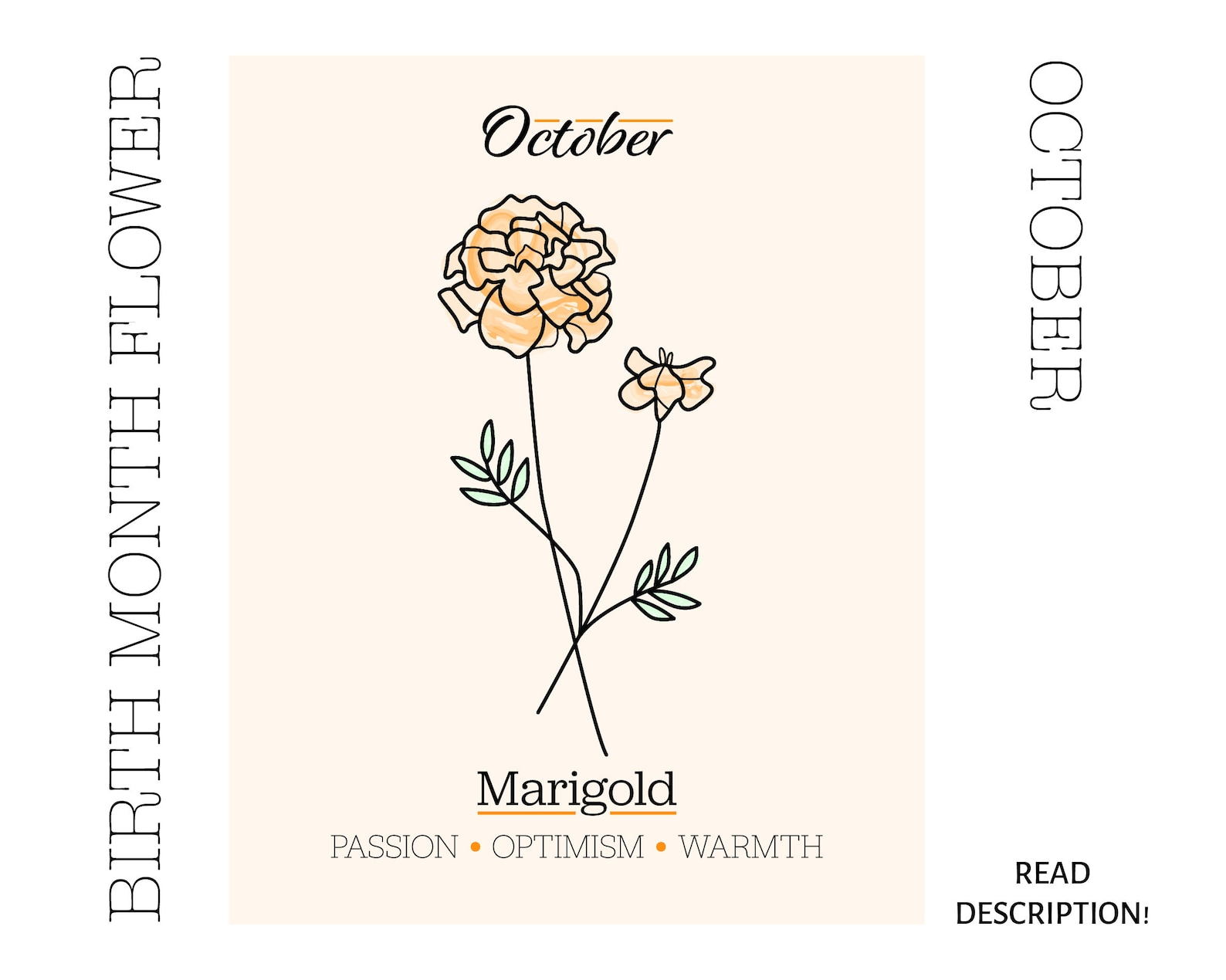 October Birth Month Watercolor Flower Digital Art Printable - Etsy