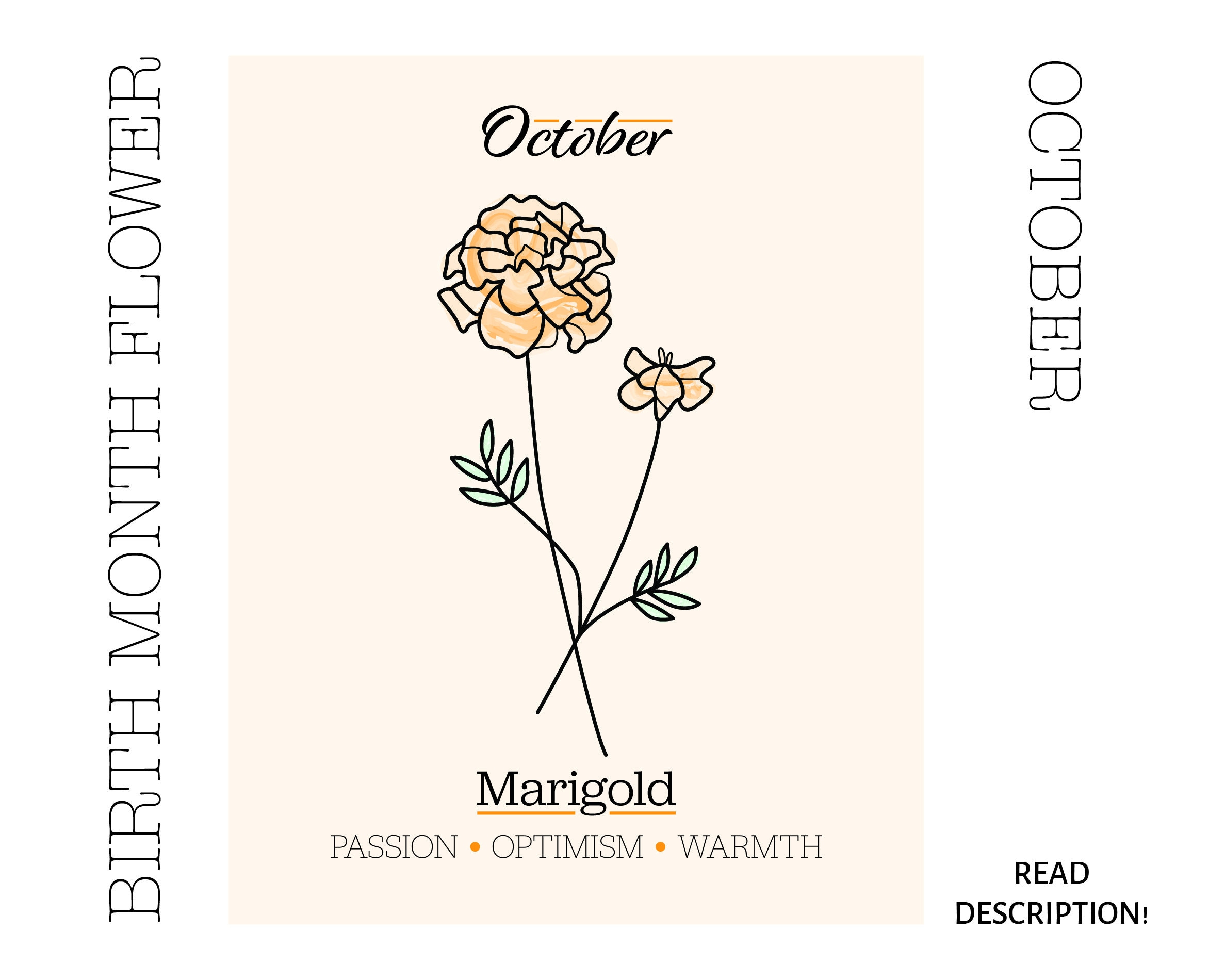 October Birth Month Watercolor Flower Digital Art Printable - Etsy