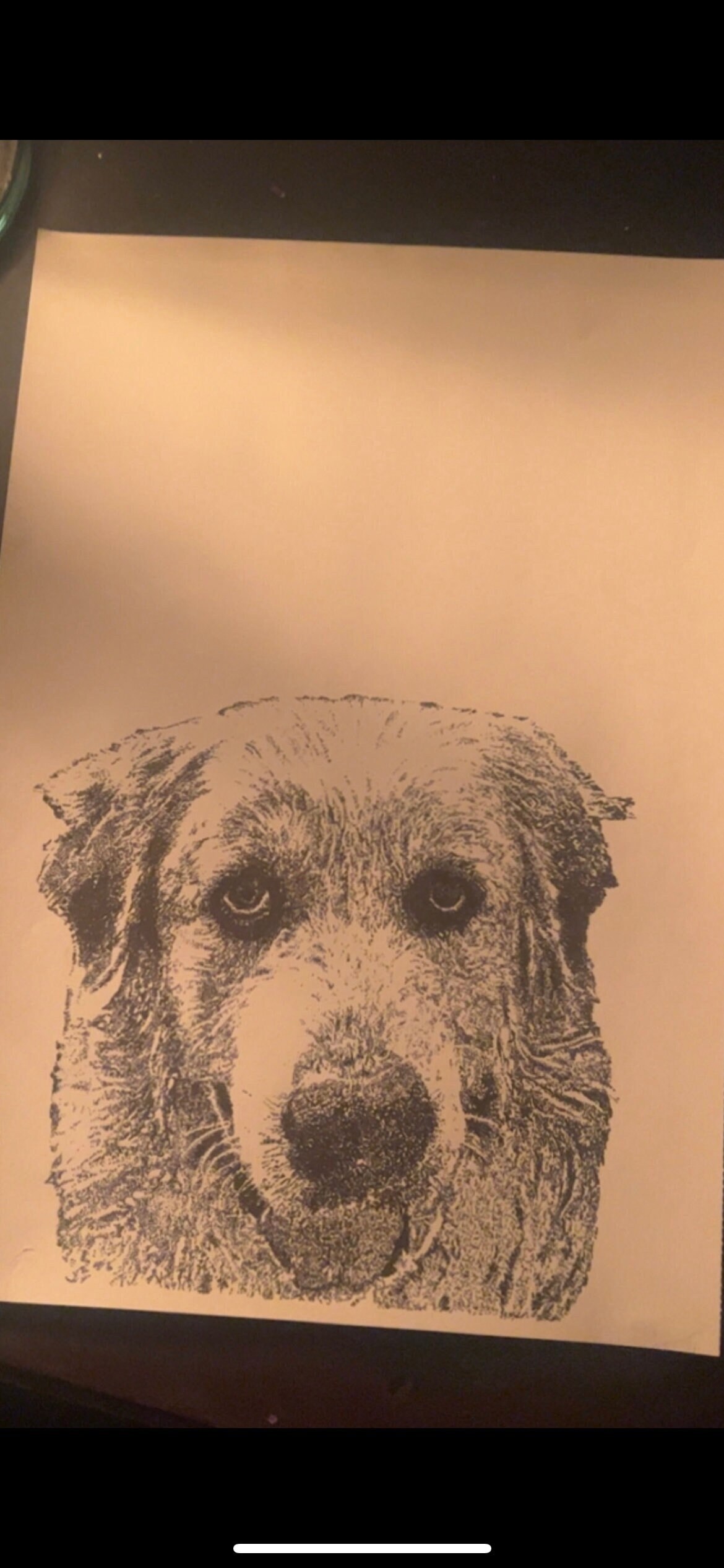 Custom Stippling Drawing - 9x12 - Etsy