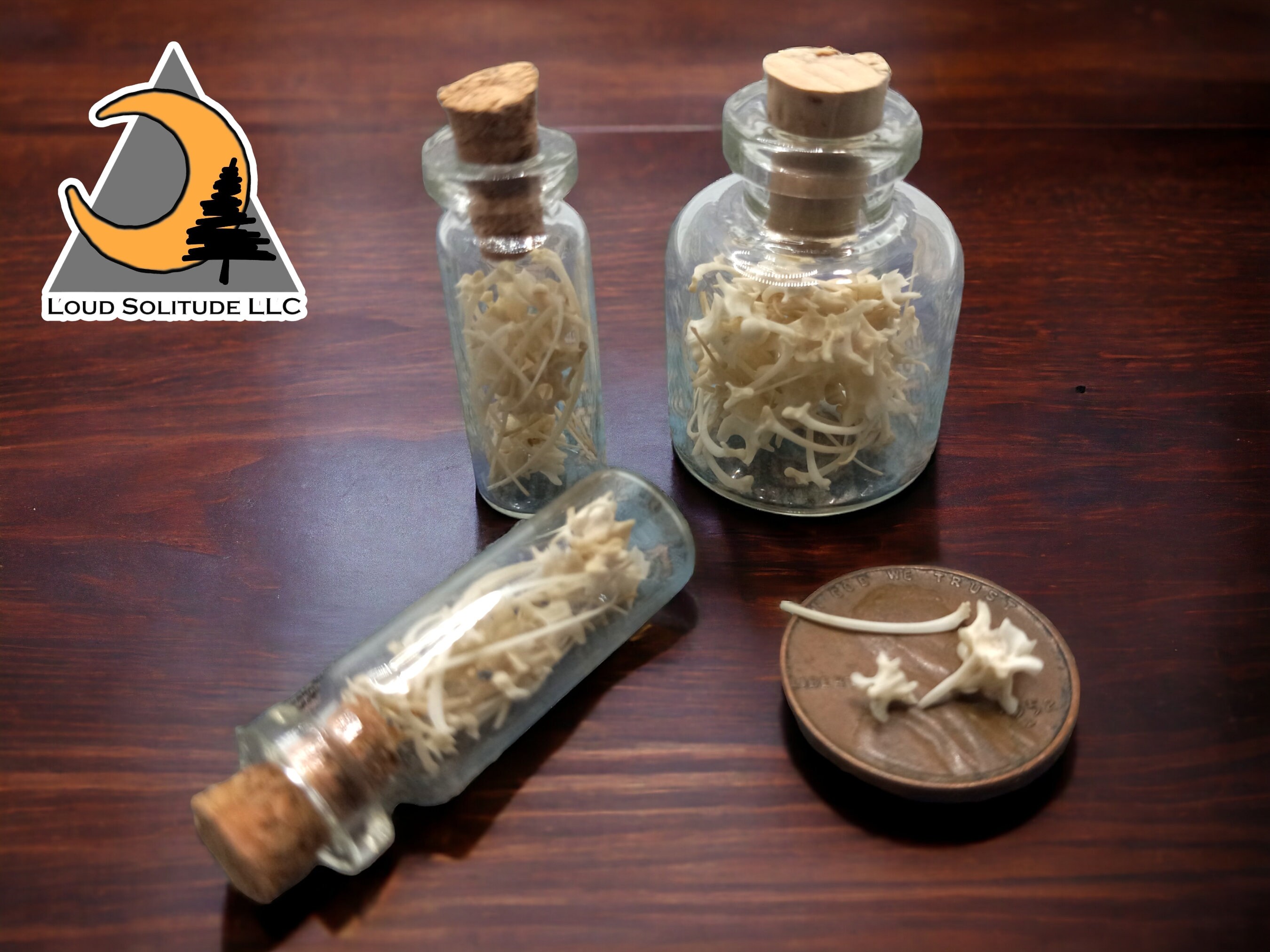 Rattlesnake Bones, Hoodoo, Conjure, Rootwork, Folk Magick, Brujeria ...