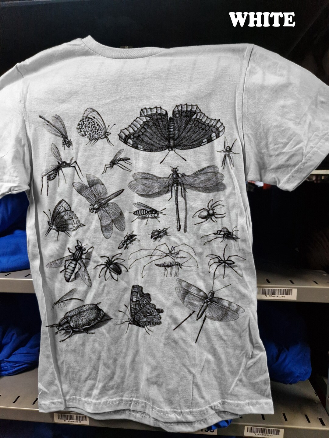 Moth Cottagecore Fairycore and Goblincore Insect Moon Child - Etsy