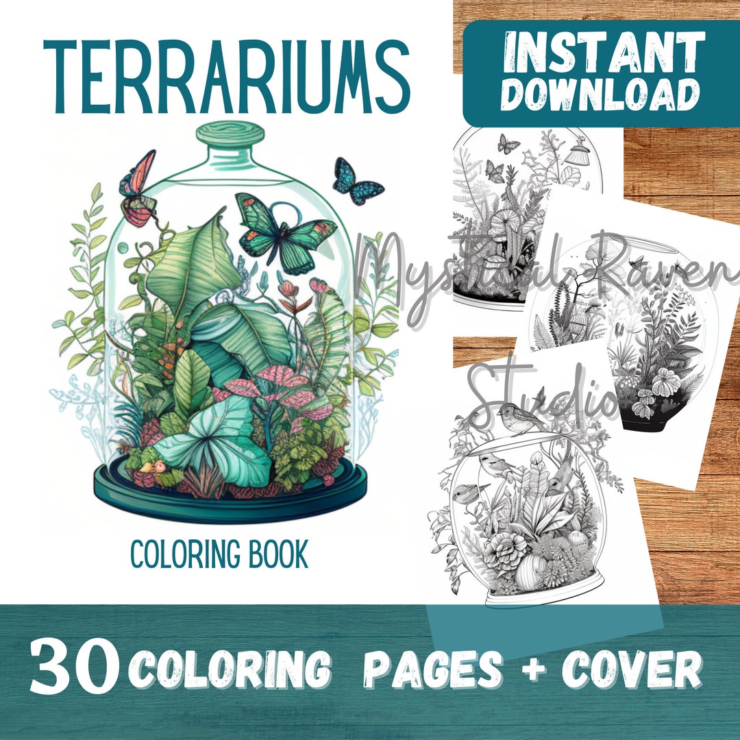 30 Terrarium Coloring Pages Adults Kids Download - Etsy