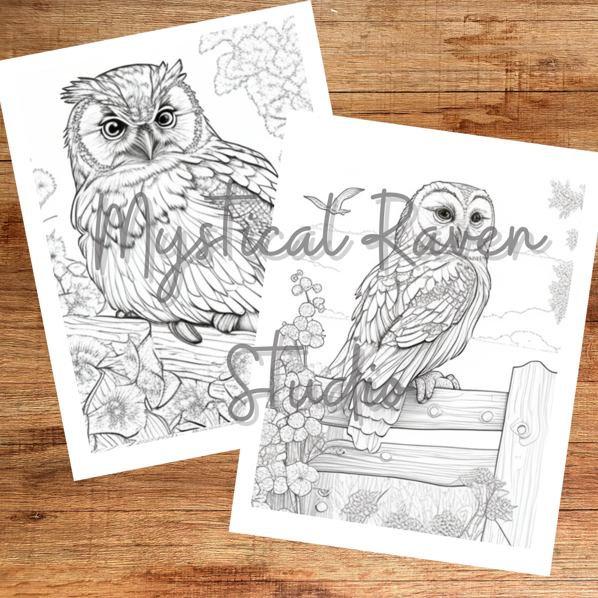 50 Unique Owl Coloring Pages Adults Kids Download - Etsy