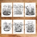 30 Terrarium Coloring Pages, Adults + Kids- Download - Grayscale ...
