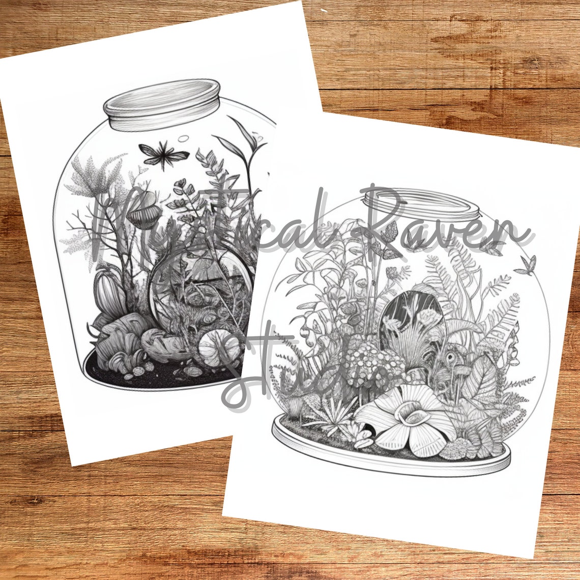30 Terrarium Coloring Pages, Adults Kids Download Grayscale Coloring ...