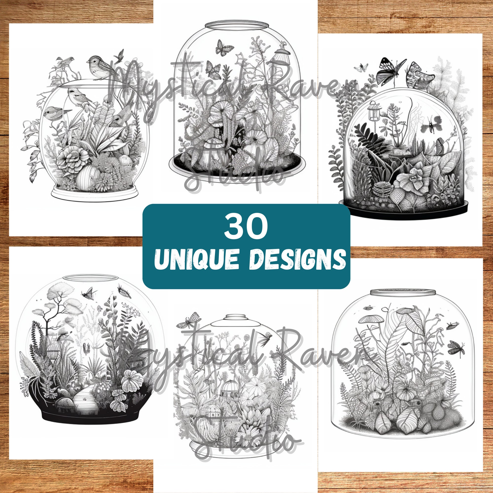 30 Terrarium Coloring Pages, Adults Kids Download Grayscale Coloring ...