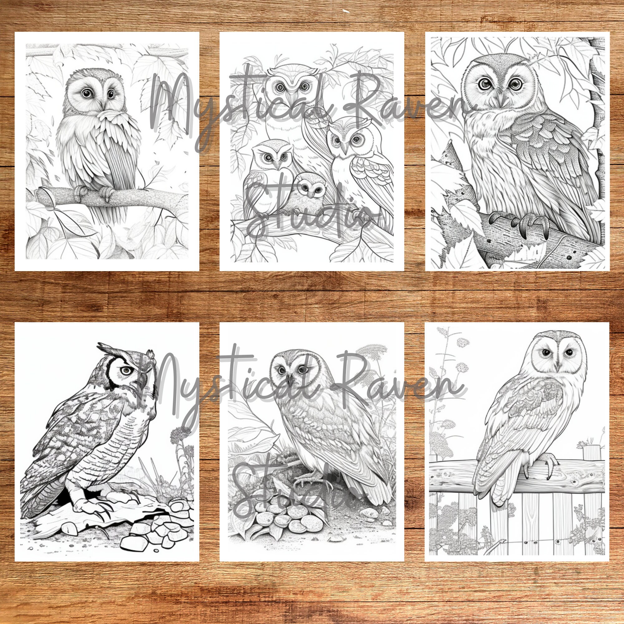 50 Unique Owl Coloring Pages, Adults + Kids - Download - Greyscale ...