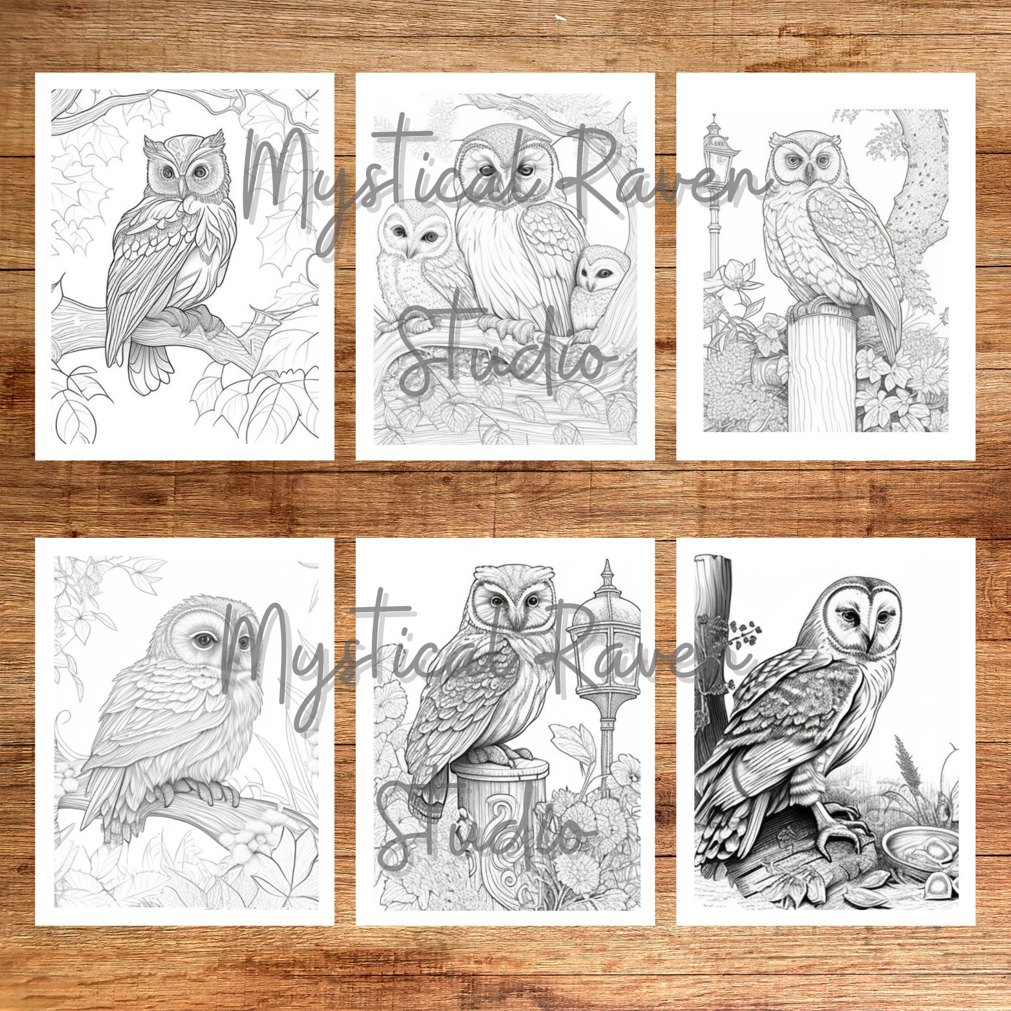 50 Unique Owl Coloring Pages Adults Kids Download - Etsy