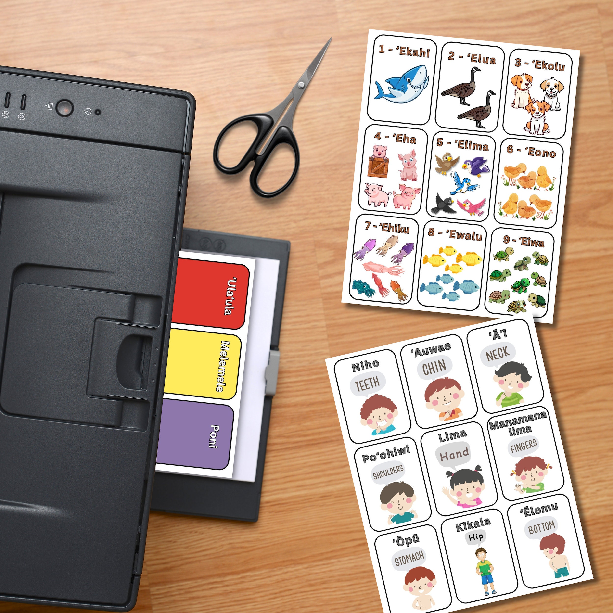 Printable Flash Cards, Hawaiian Words Flash Cards Sheets, Digital ...