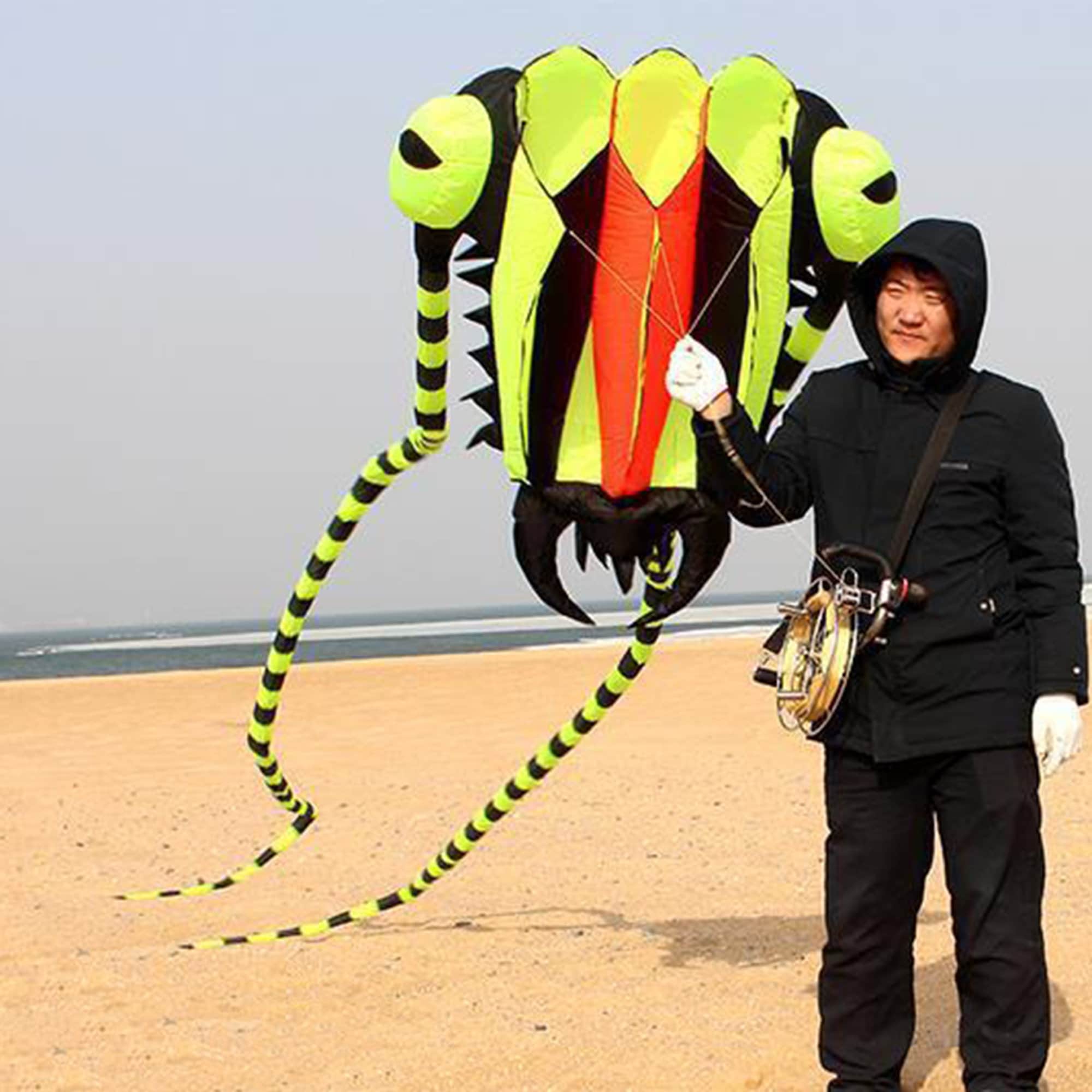 6 Meters Long Kite, Three-dimensional Kite, Three-leaf Easy-flying Kite ...