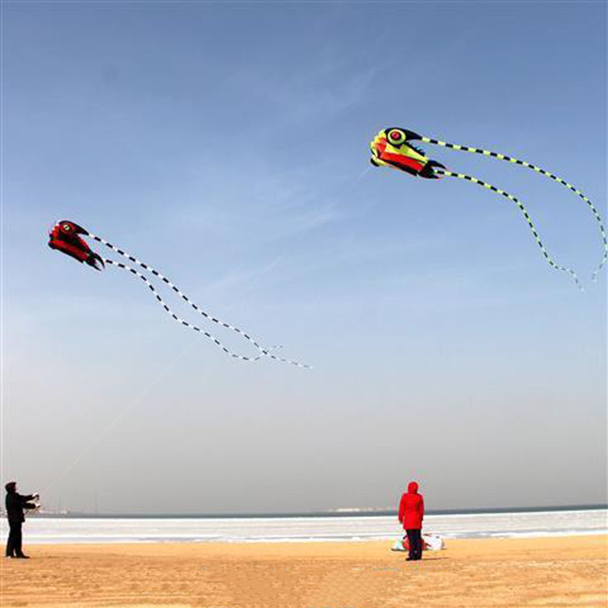 6 Meters Long Kite, Three-dimensional Kite, Three-leaf Easy-flying Kite ...
